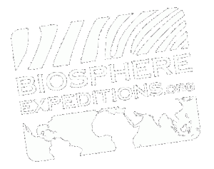 Biosphere Expeditions: blogs from the frontline of wildlife ...