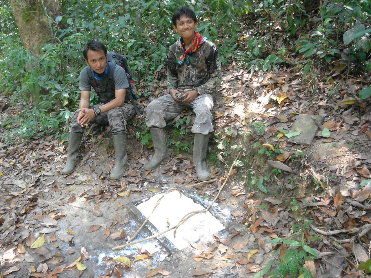 From our Sumatran tiger conservation volunteering holiday in Indonesia ...