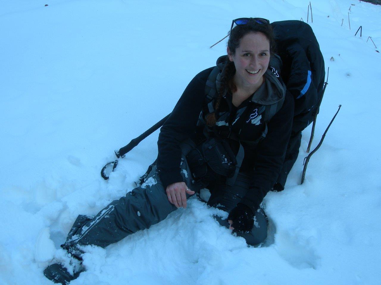 From our conservation holiday volunteering with lynx, wolves, bears and ...