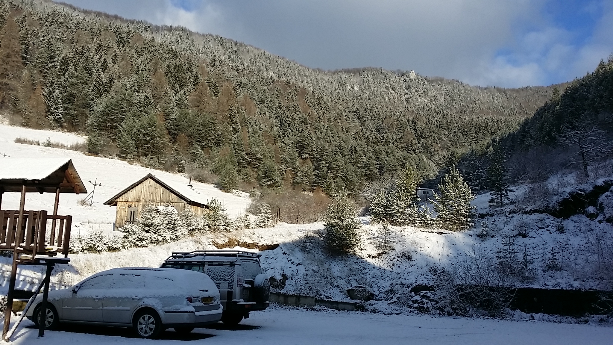 From our conservation holiday volunteering with lynx, wolves, bears and ...