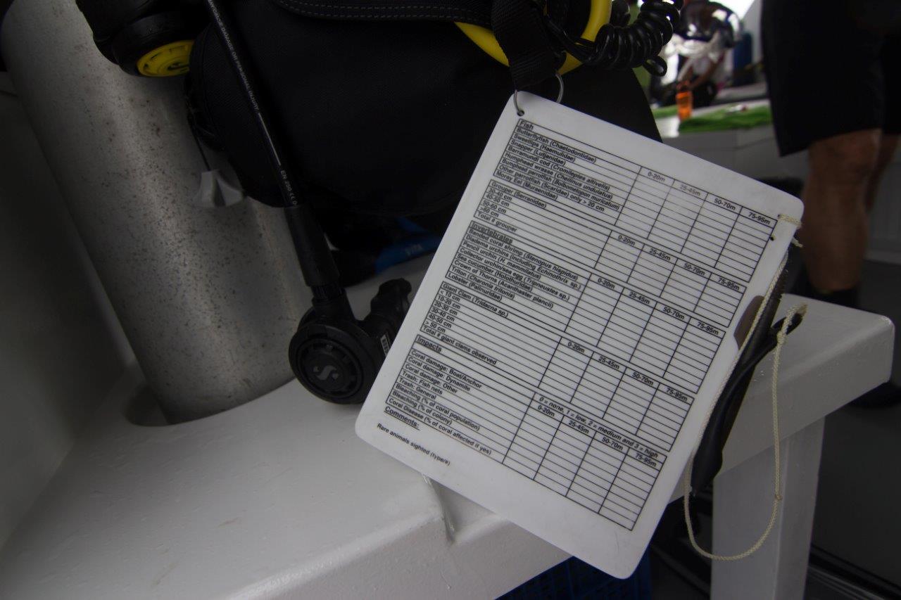 daerr-29 – Biosphere Expeditions: blogs from the frontline of wildlife ...