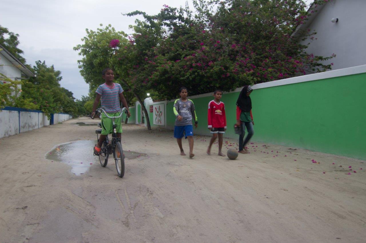 daerr-41 – Biosphere Expeditions: blogs from the frontline of wildlife ...