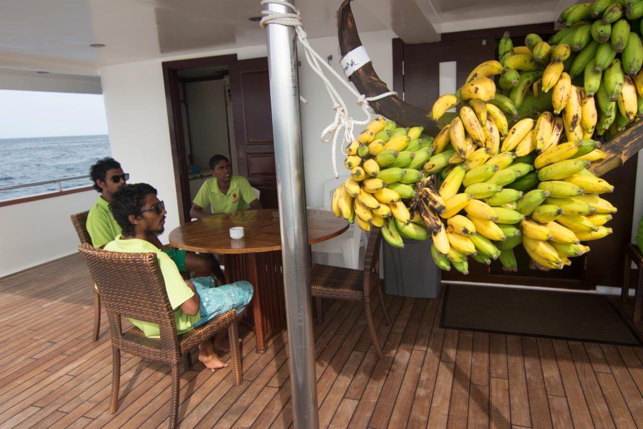 daerr-8 – Biosphere Expeditions: blogs from the frontline of wildlife ...