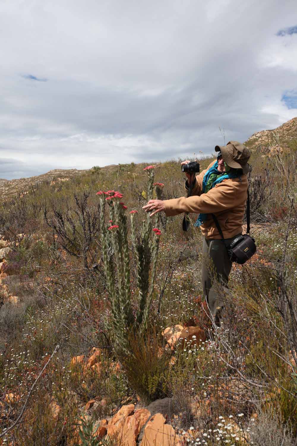 melda-in-the-field – Biosphere Expeditions: blogs from the frontline of ...
