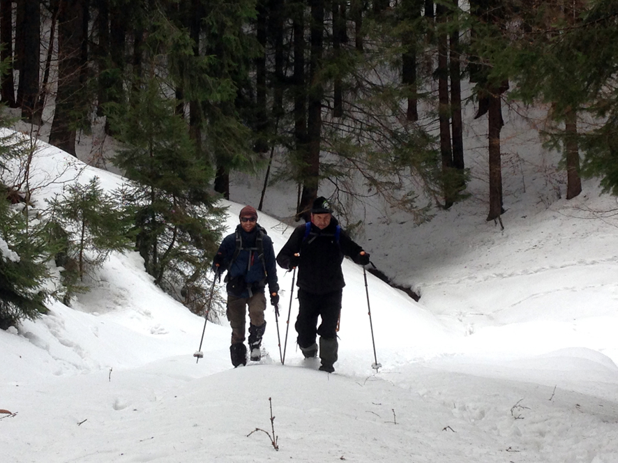 From our conservation holiday volunteering with lynx, wolves, bears and ...