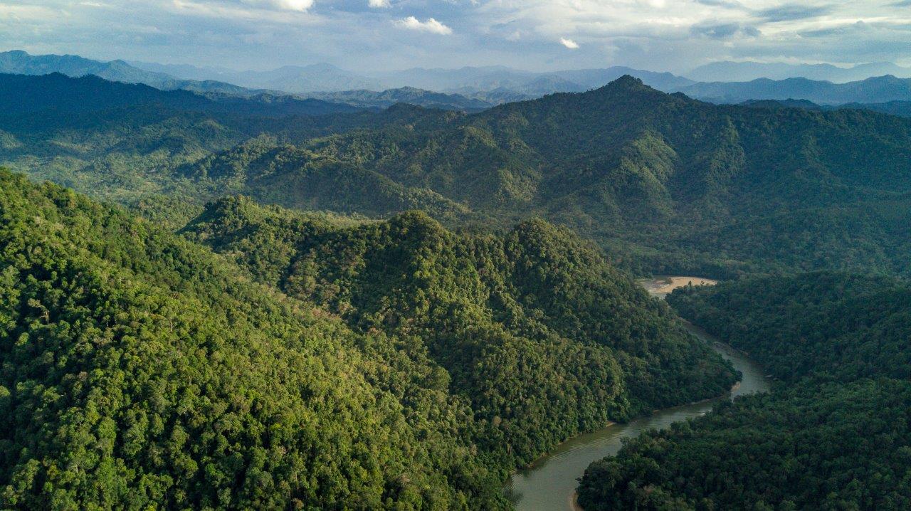 Sumatra 2017 – Biosphere Expeditions: blogs from the frontline of ...