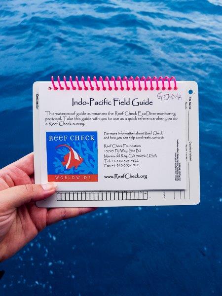 Maldives: Roundup, pictures, videos – Biosphere Expeditions: blogs from ...