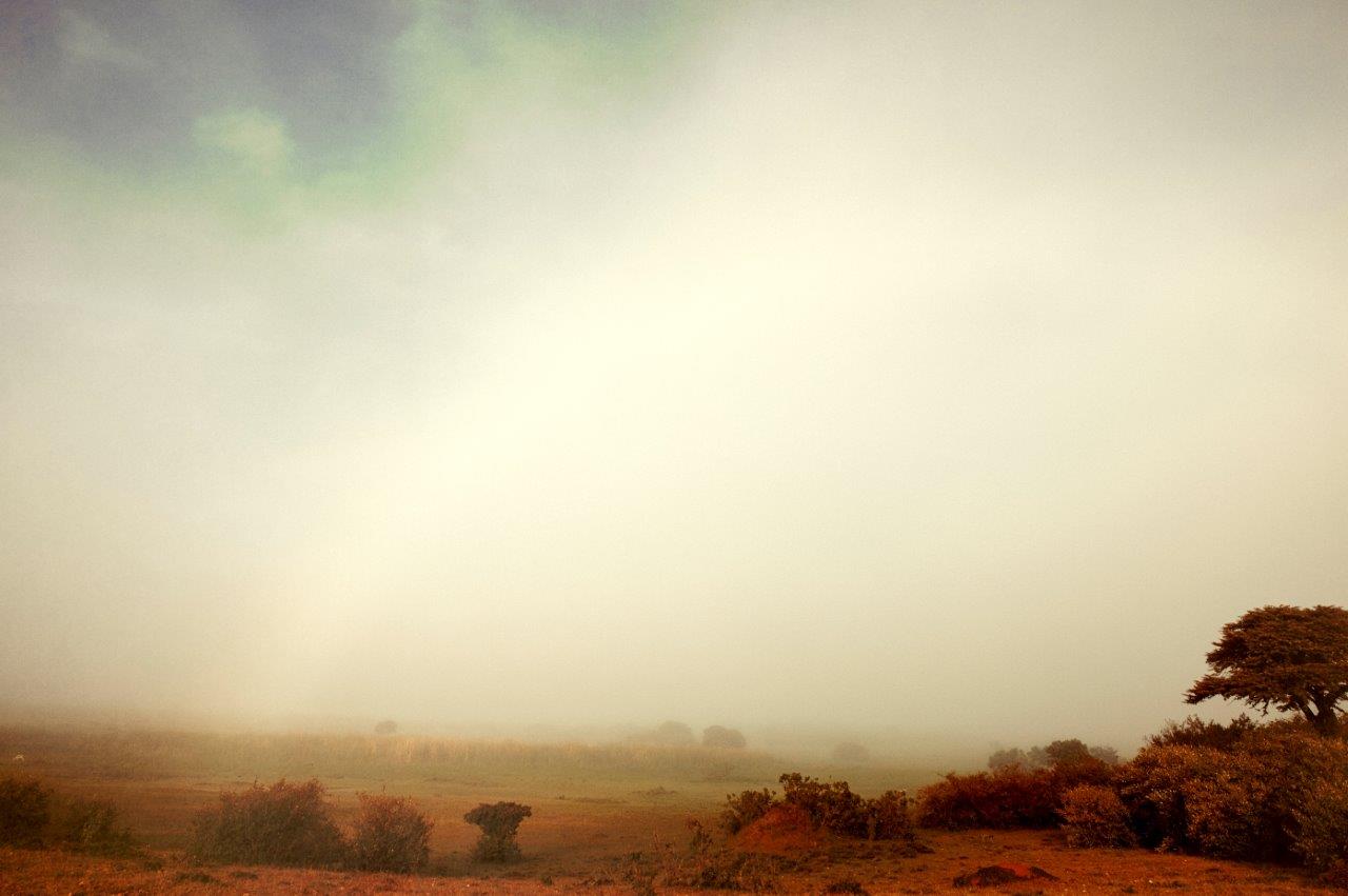 landscape 2019 (48) Knut Woerner – Biosphere Expeditions: blogs from ...