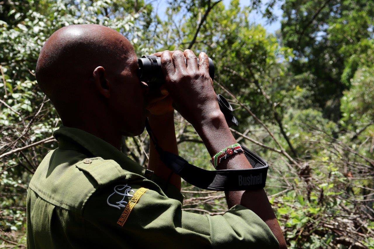 This is how you survive on safari – Biosphere Expeditions: blogs from ...