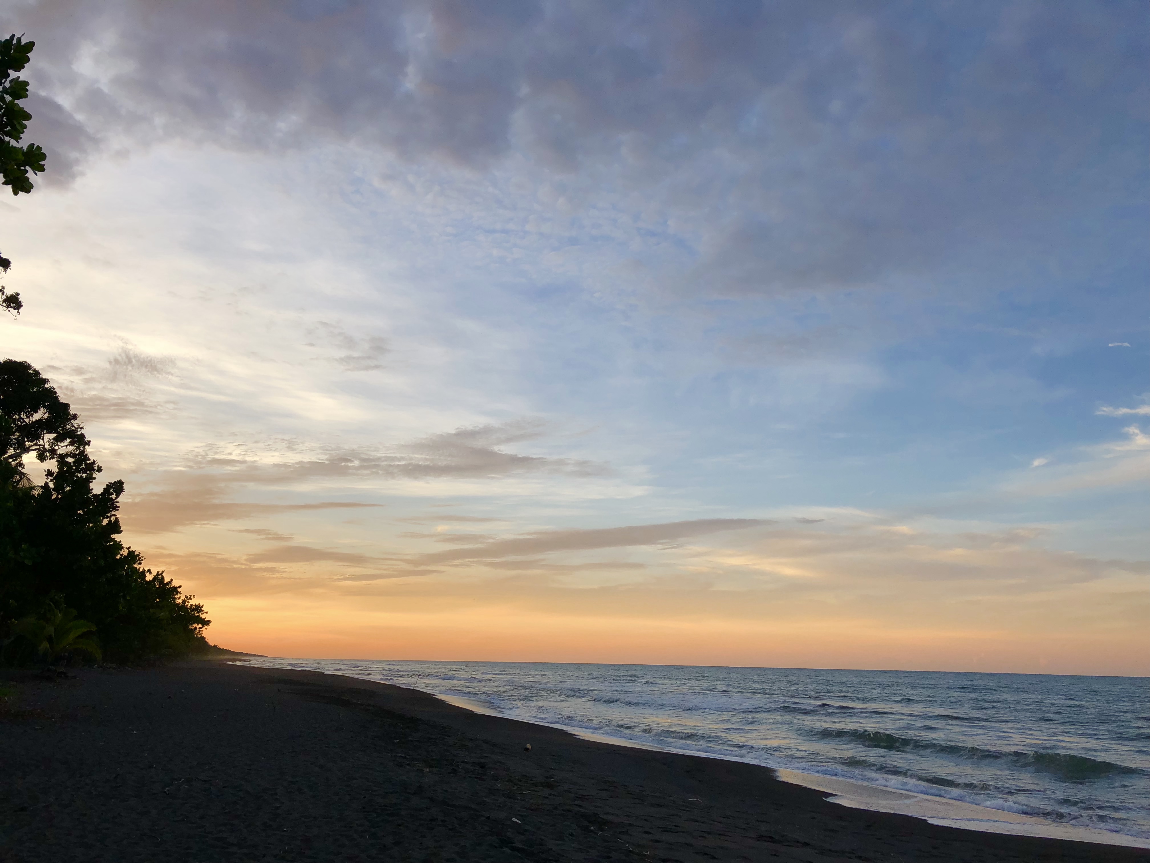 Costa Rica: Update from Pacuare beach – Biosphere Expeditions: blogs ...